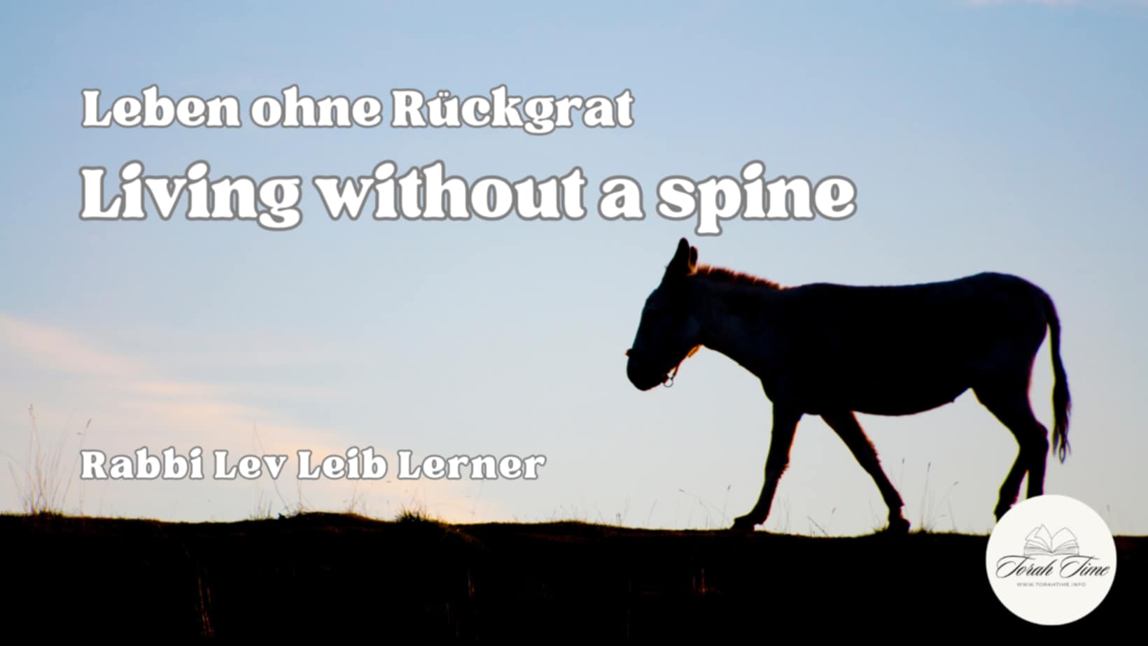 Rabbi Lev Leib Lerner: Leben ohne Rückgrat / Living without a spine ...