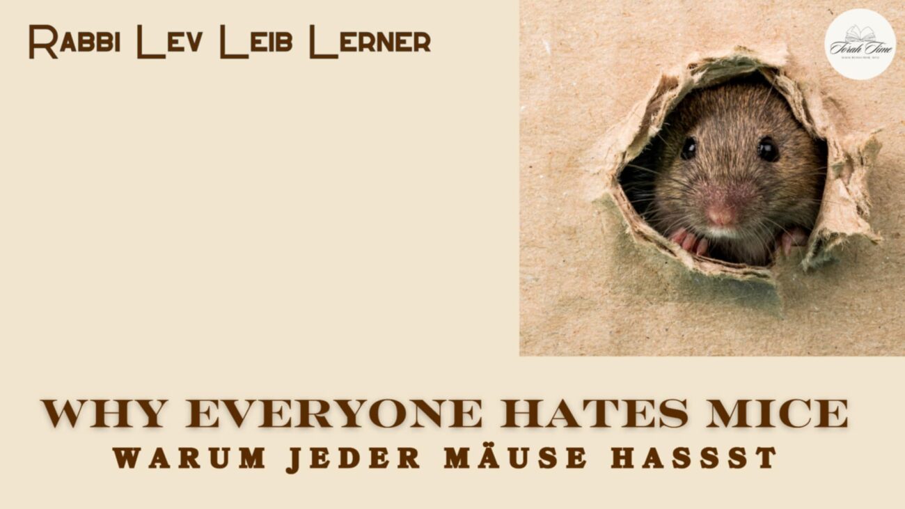 Warum jeder Mäuse hasst / Why everyone hates mice - TorahTime – Mussar ...
